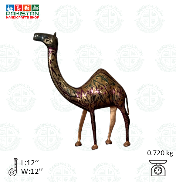 Camel Long Neck